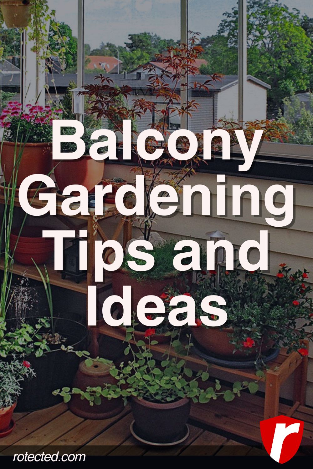 Balcony Gardening Tips: Best Vegetables and Creative Ideas