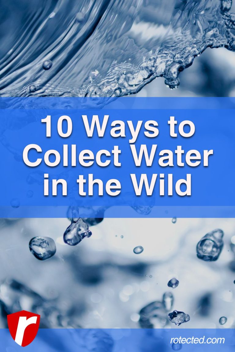 10 Effective Ways to Collect Water in the Wild